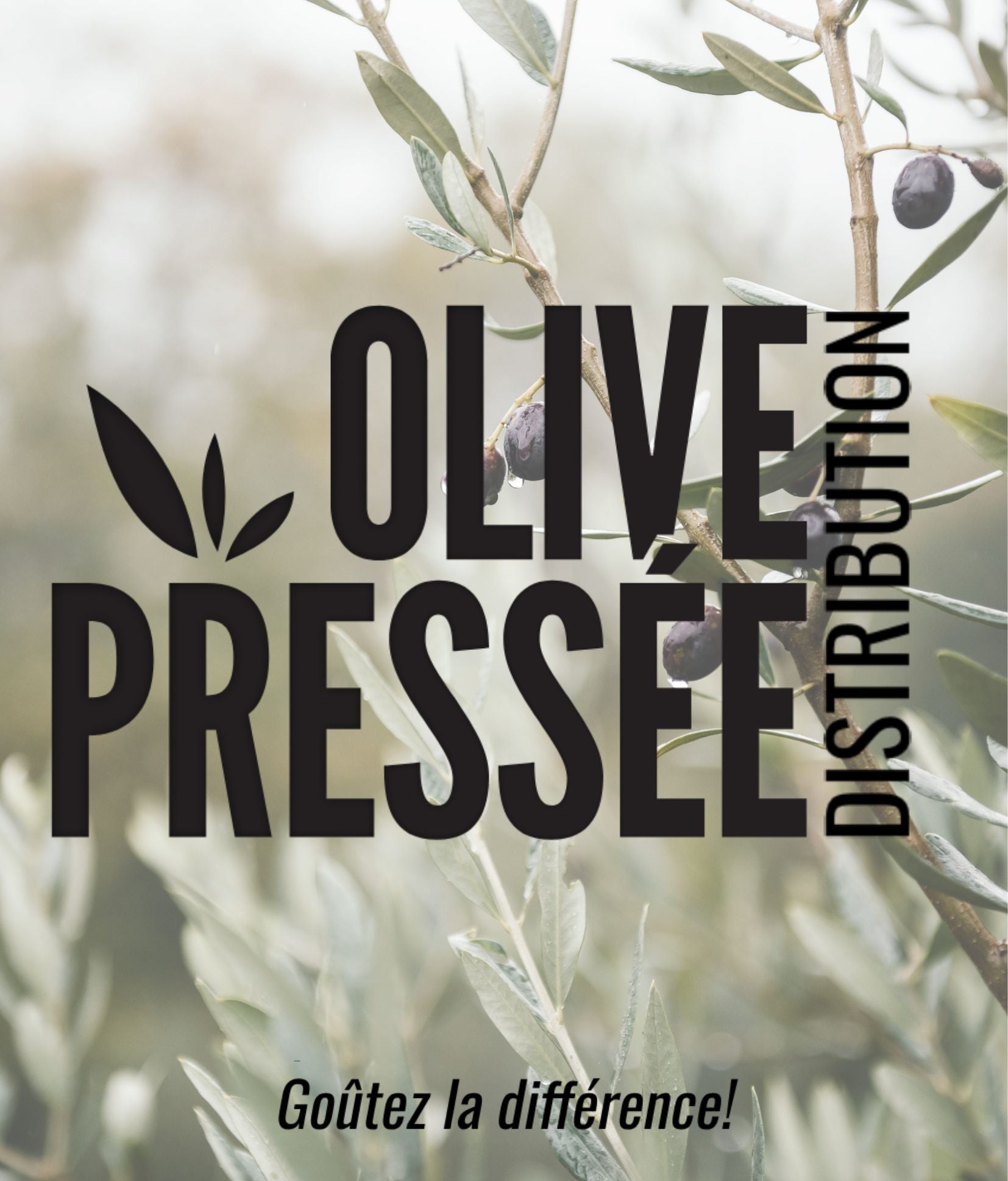 Olive Pressée Distribution